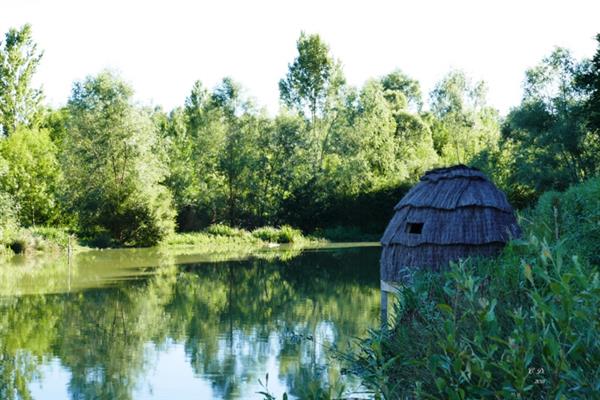 Le Chêne De Tombeboeuf Tourisme Lot Et Garonne